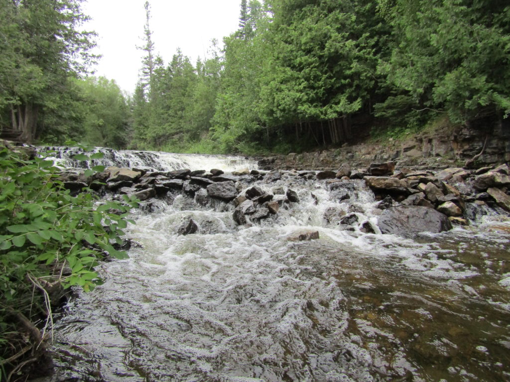 Circle Michigan Foundation