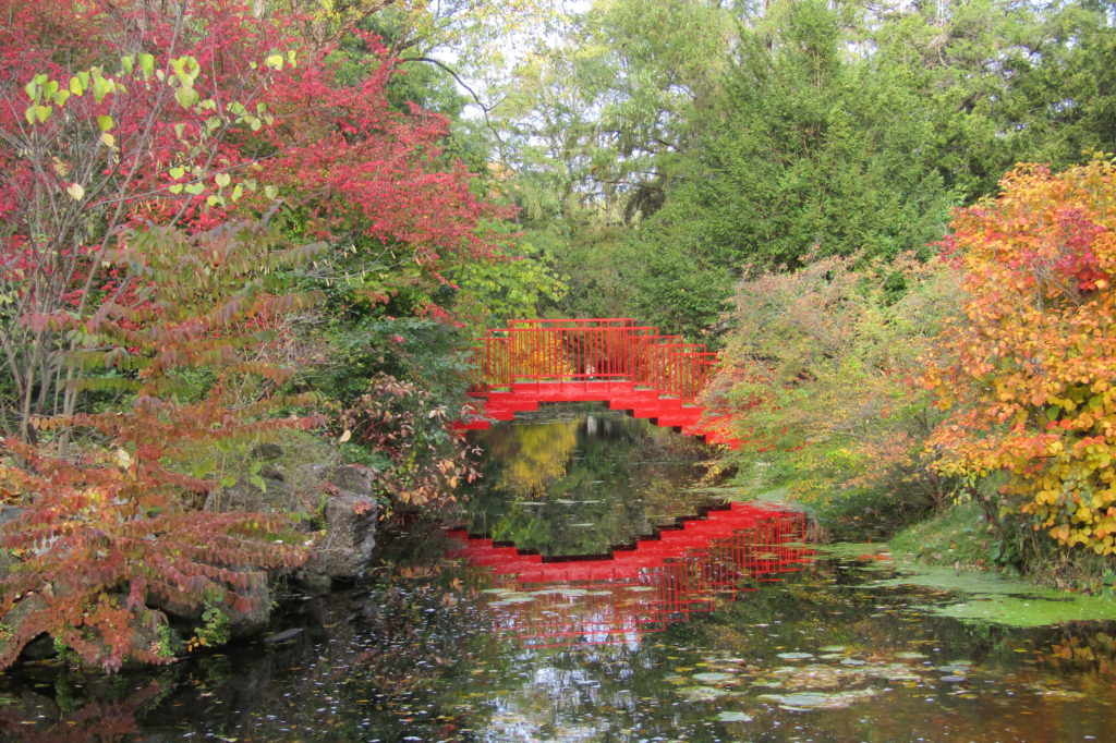 Circle Michigan Team Members | Circle Michigan